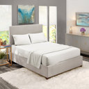 Red Barrel Studio® Kilgore Solid Wood Daybed & Reviews | Wayfair