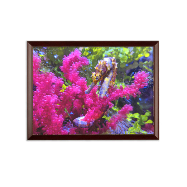 Highland Dunes Seahorse Sublimation Wall Decor | Wayfair
