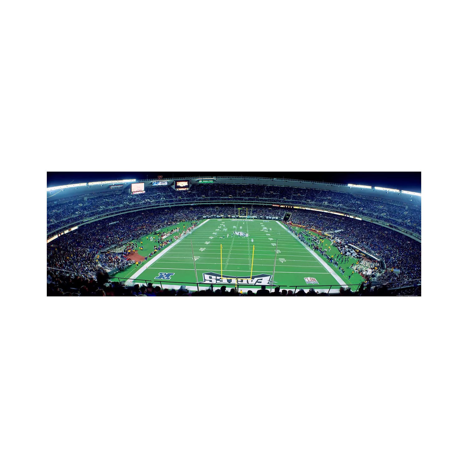 Ebern Designs Philadelphia Eagles NFL Football Veterans Stadium ...