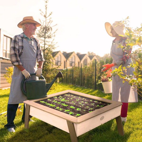 Dakota Fields AXI Seedling Growing Table Linda Brown And White ...