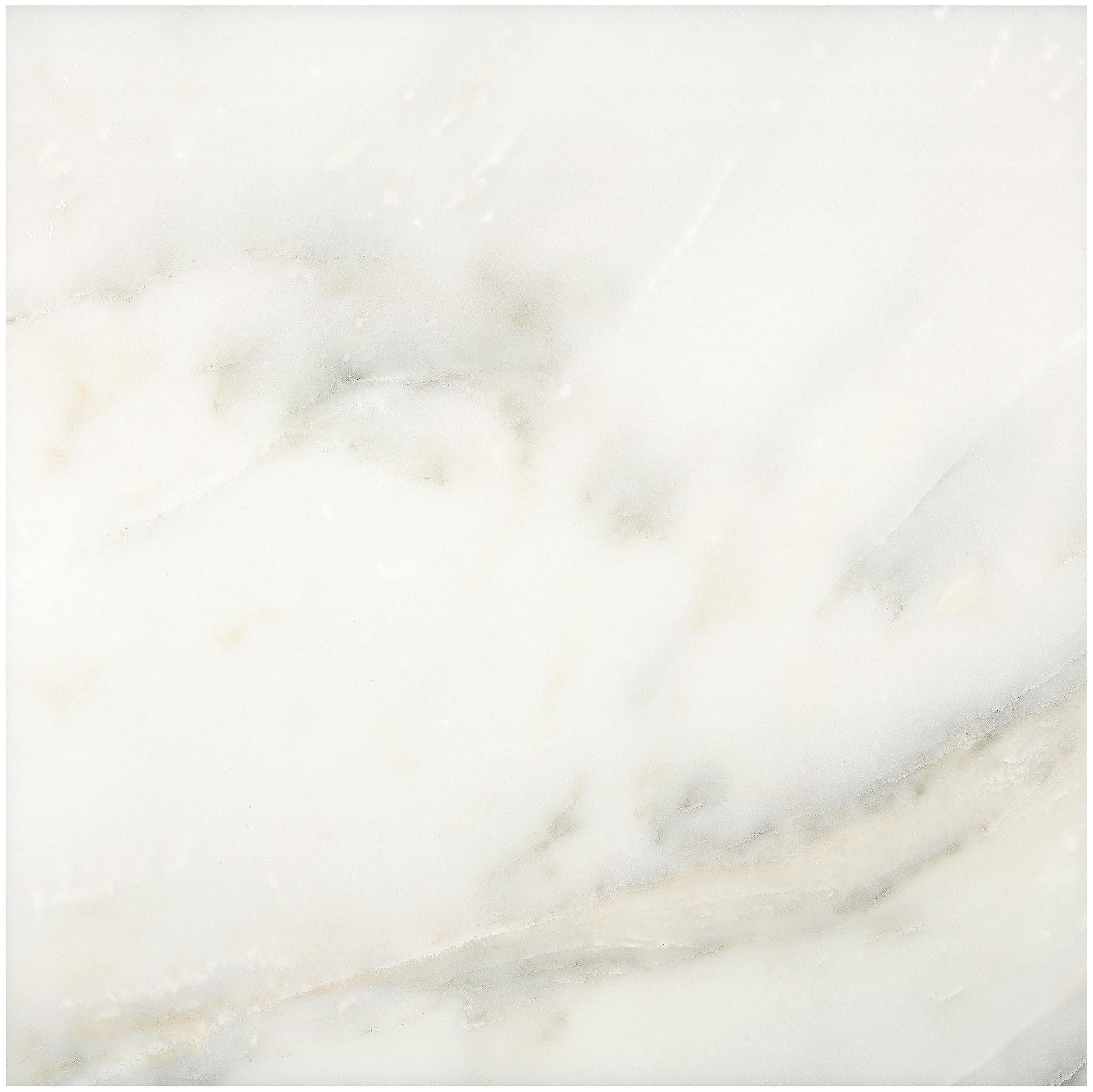 Stone & Tile Shoppe, Inc. 12" x 12" Marble Marble Look Wall & Floor ...