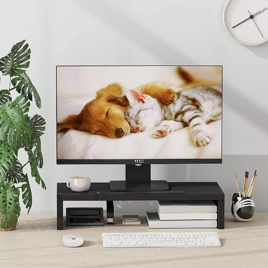 Paracity Monitor Computer Riser Desk Laptop Stand | Wayfair