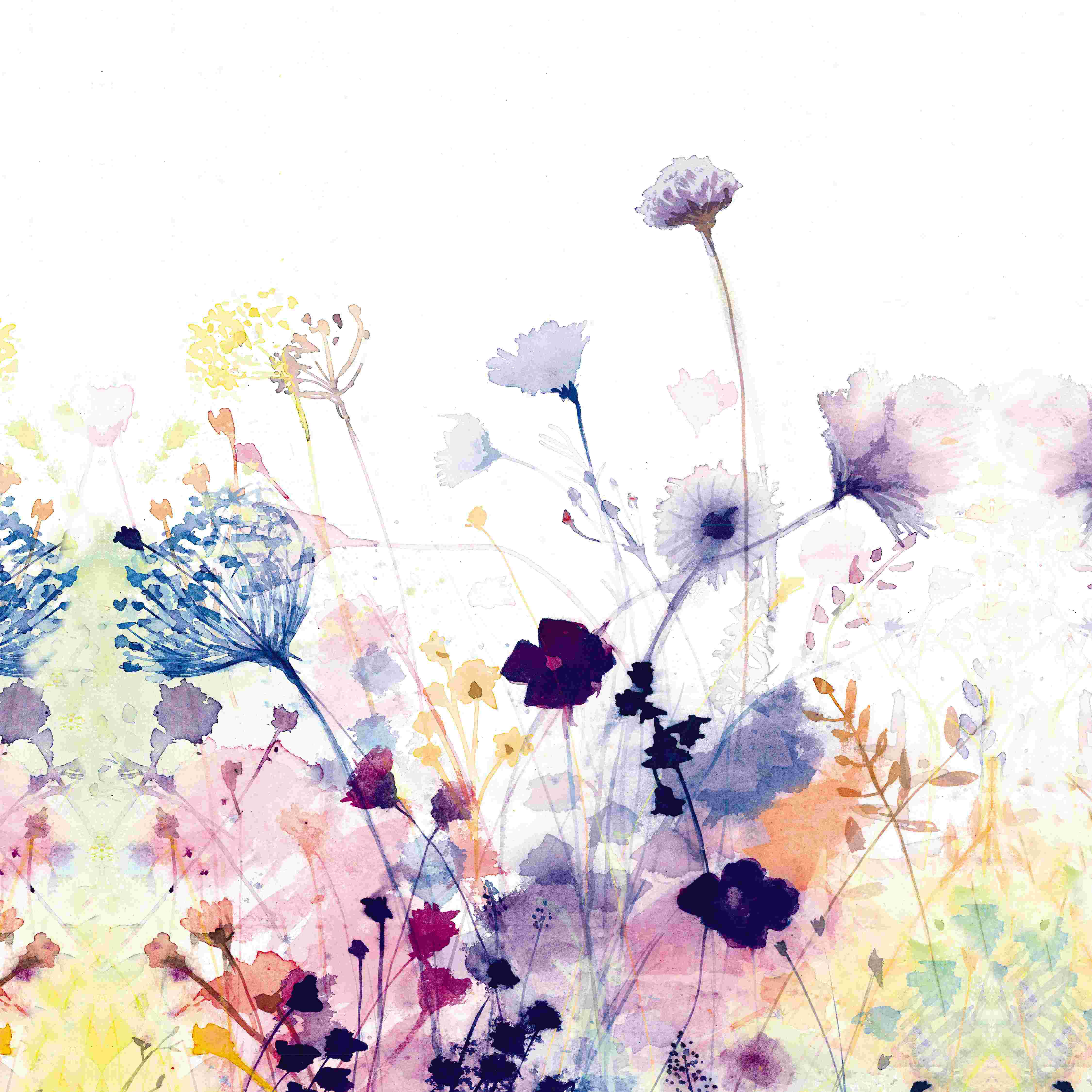 Winston Porter Watercolor Botanicals On Canvas Print | Wayfair