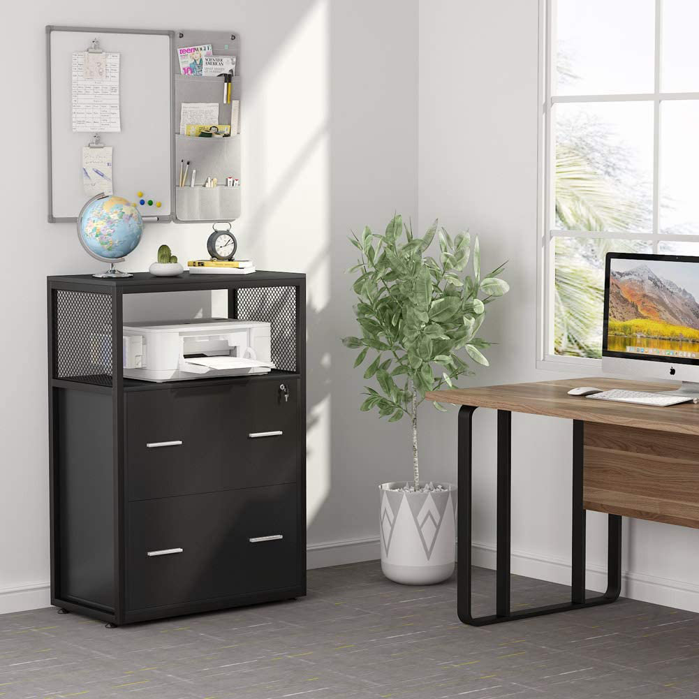 Inbox Zero 23.6'' Wide 2 -Drawer Lateral Filing Cabinet & Reviews | Wayfair