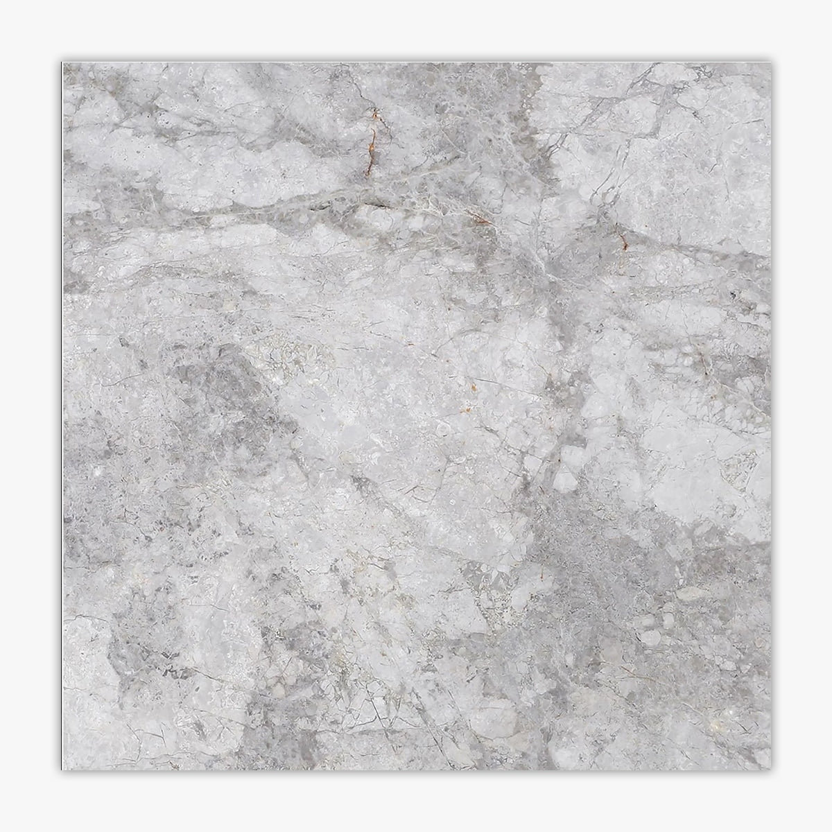 Direct Stone Source 12" x 12" Marble Look Wall & Floor Tile | Wayfair
