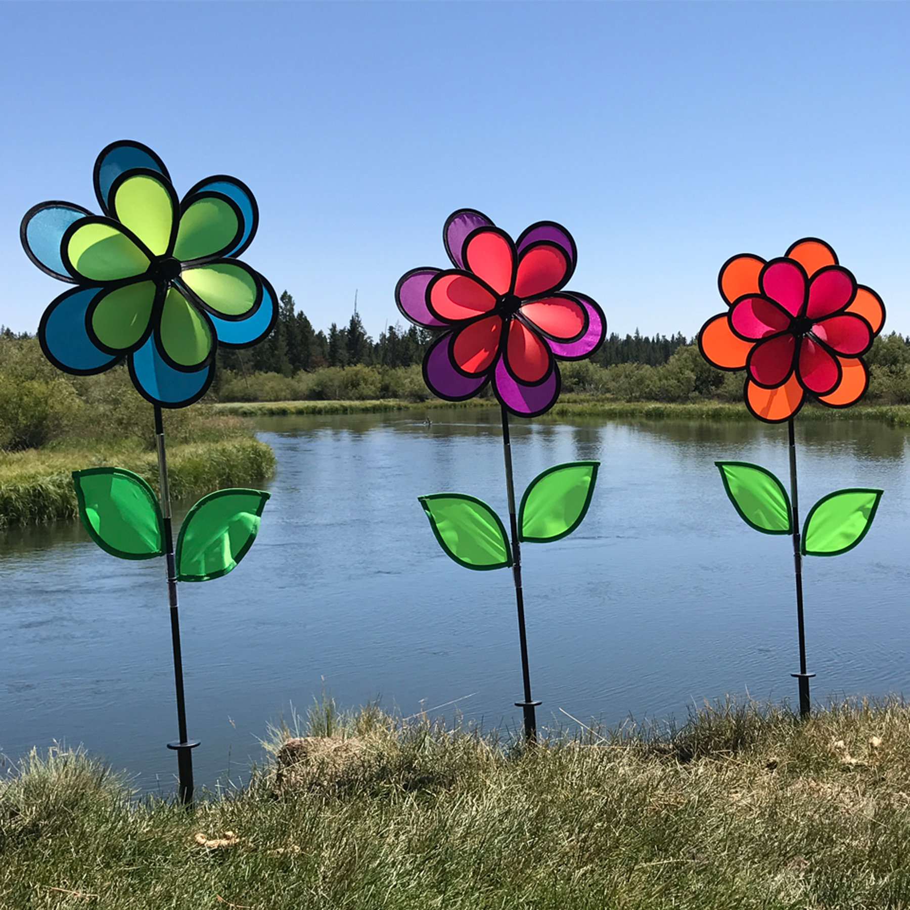InTheBreeze Neon Colorblock Double Flower - 3 PK Assortment & Reviews ...