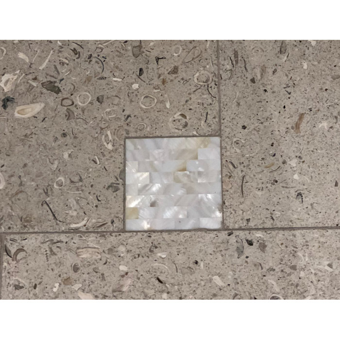 Matrix-Z SeaTile 4"x 4" Natural Shell Listello/Border Tile in White ...