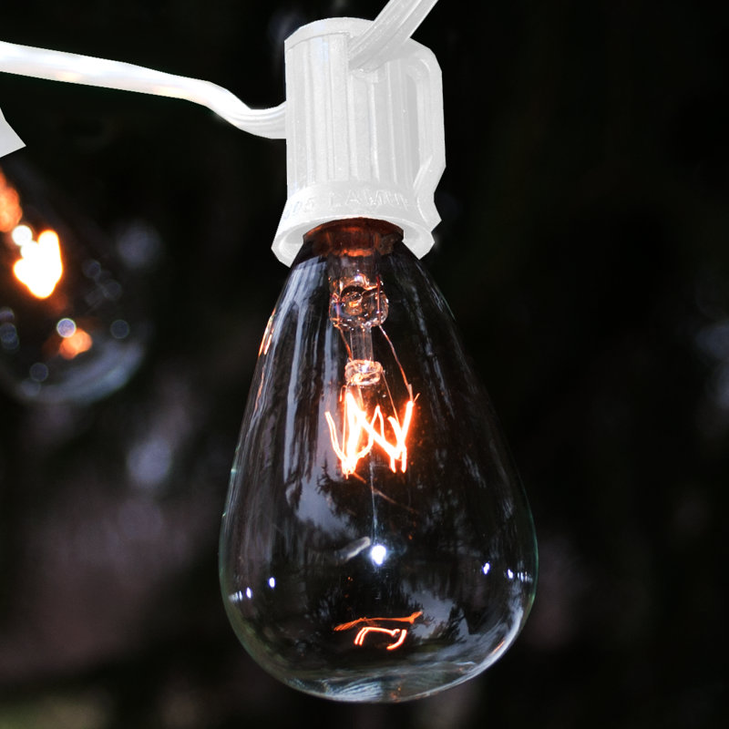 HometownEvolutionInc Edison String Lights Outdoor 25 - Bulb 25'' Plug ...