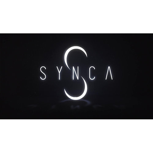 Synca Wellness Premium SL Track Heated Massage Chair & Reviews | Wayfair