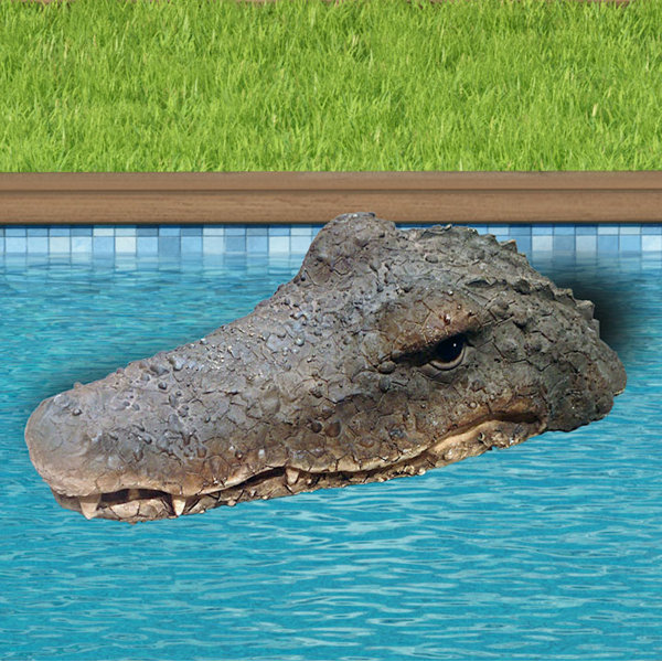 Bay Isle Home Davie Floating Crocodile Head Bust & Reviews | Wayfair