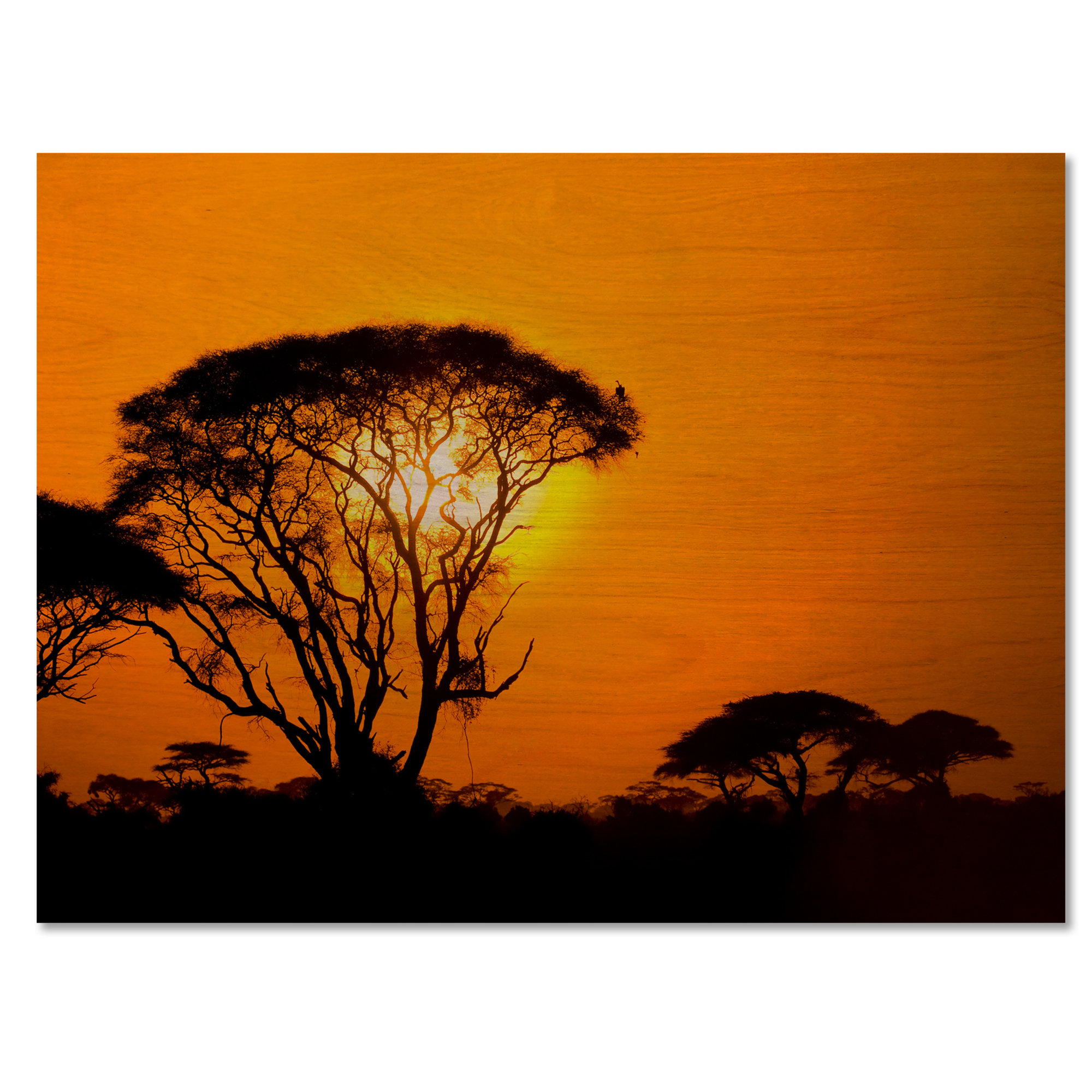 Winston Porter Beautiful African Sunset In Savannah Beautiful African ...