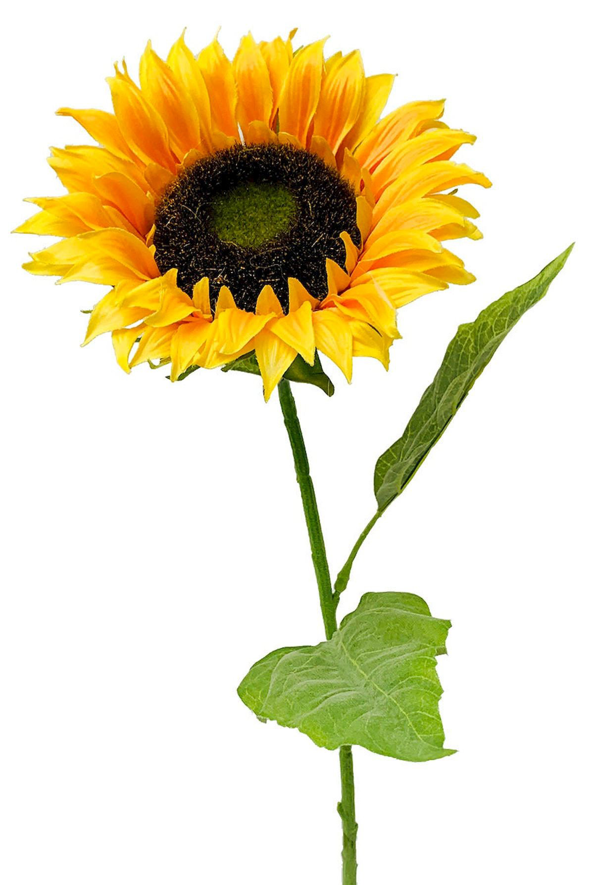 Primrue Sunflower Stems | Wayfair