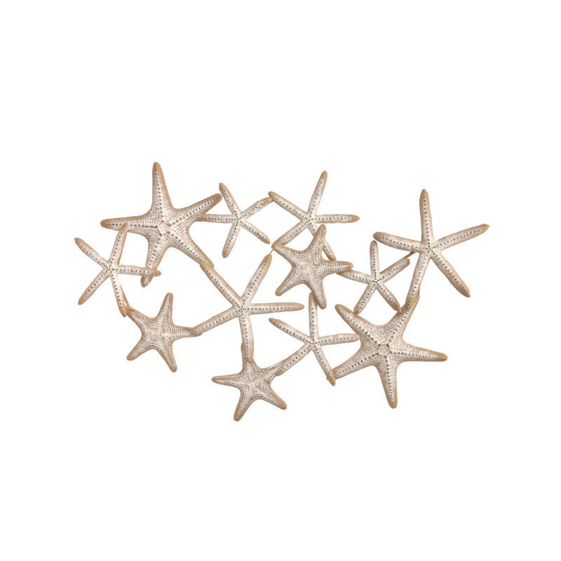 Beachcrest Home Starfish Wall Décor & Reviews | Wayfair