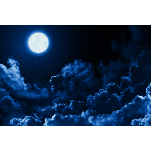 Ebern Designs Bright Full Moon - Wrapped Canvas Photograph | Wayfair