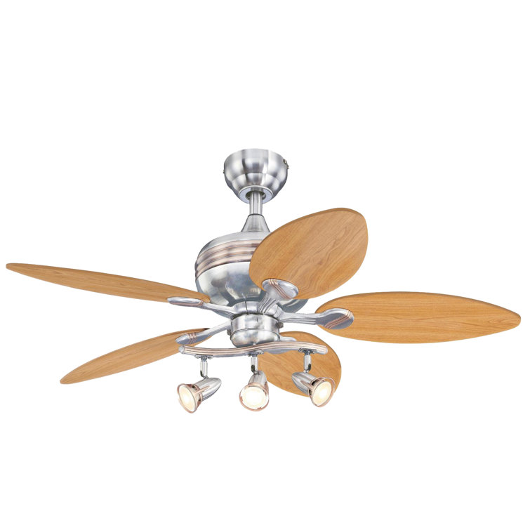 Ciata Lighting 44'' Ceiling Fan with LED Lights | Wayfair