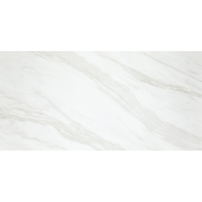Daltile Perpetuo 12" x 24" Porcelain Marble Look Wall & Floor Tile ...