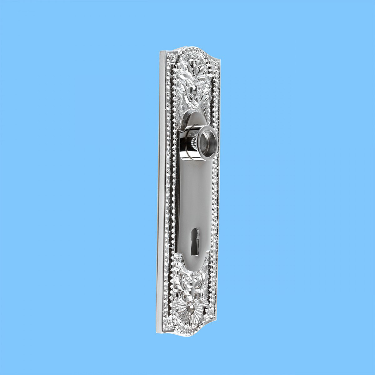 The Renovators Supply Inc. Door Back Plate | Wayfair