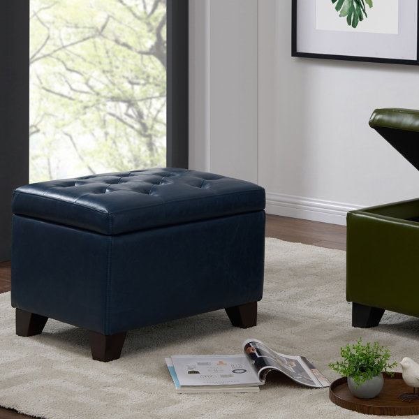 Latitude Run® Elyssia Upholstered Storage Ottoman - Wayfair Canada