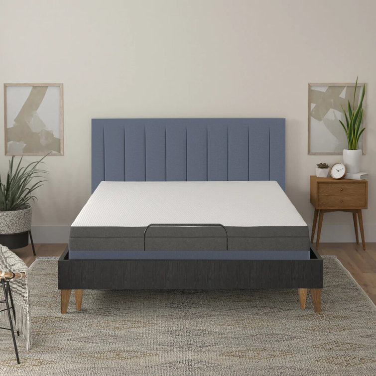 Spinal Solution 15-inch Adjustable Bed Frame with Coil Spring Mattress ...