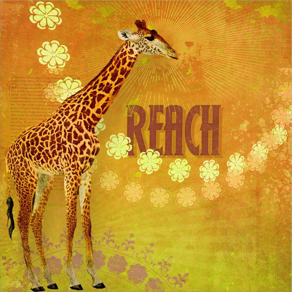 Bungalow Rose Living Out Loud II Reach By Duirwaigh Wrapped Canvas bungalow-rose-living-out-loud-ii-reach-by-duirwaigh-wrapped-canvas