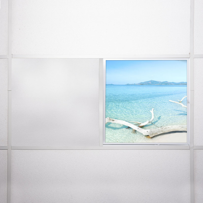 Octo Lights Beach Flexible Decorative Light Cover | Wayfair