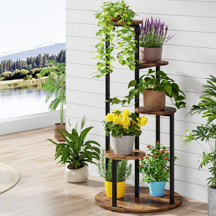 17 Stories Catasha Free Form Multi-Tiered Plant Stand | Wayfair