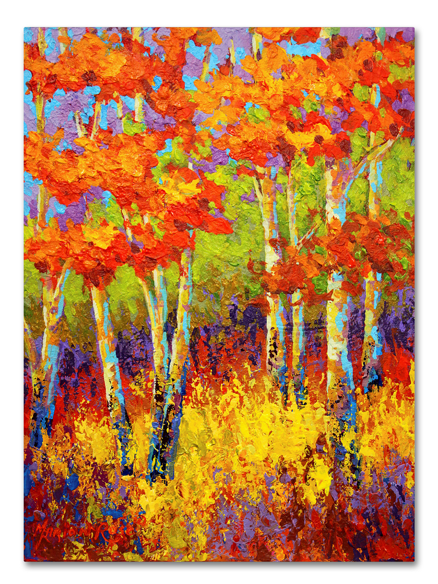 Trademark Art Marion Rose Evening Glow On Canvas by Marion Rose ...