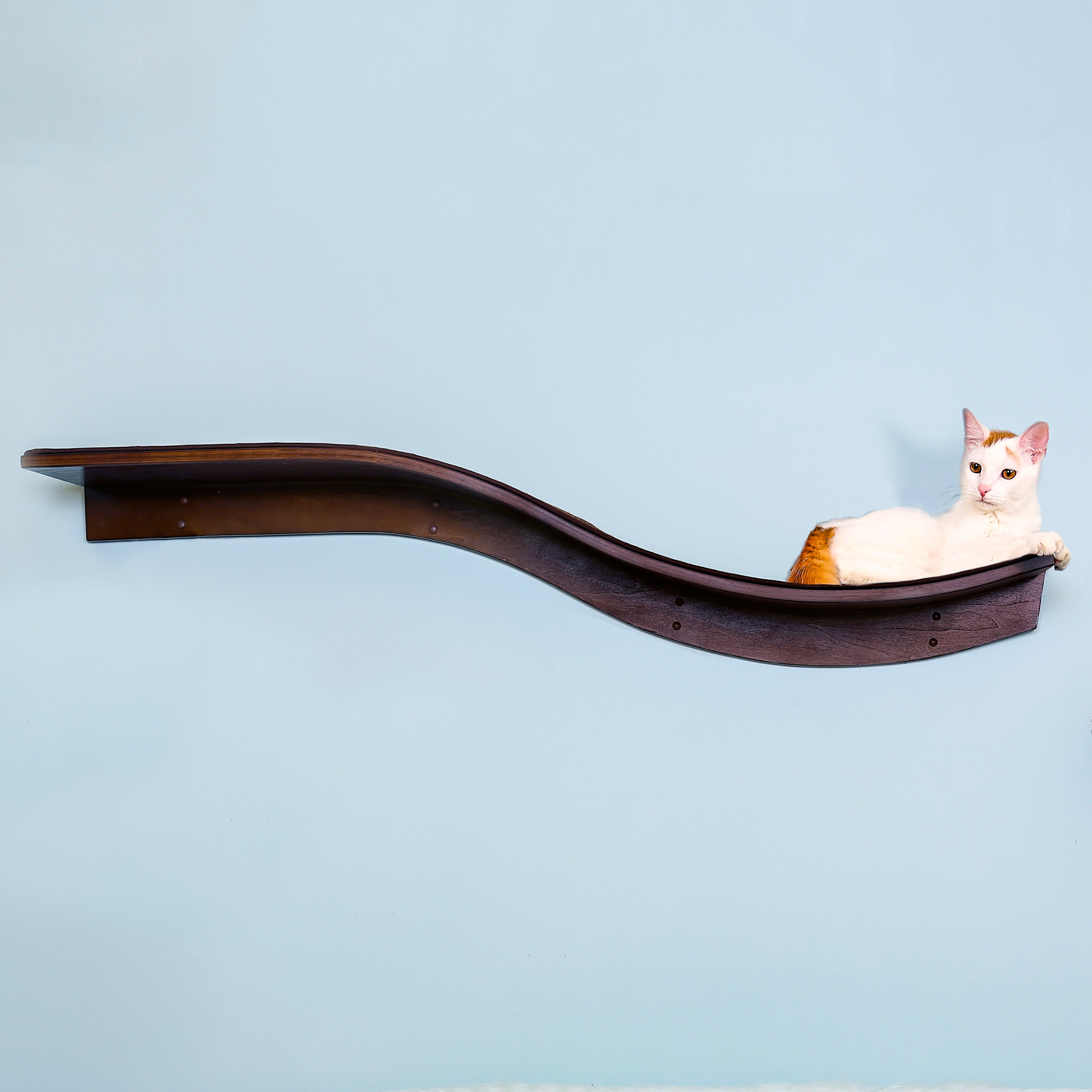 The Refined Feline Lotus Branch Cat Perch & Reviews | Wayfair