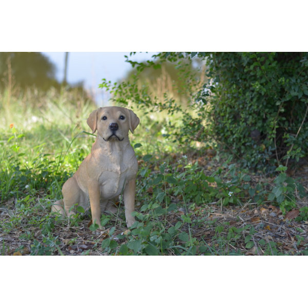 Yellow-labrador-statue | Wayfair