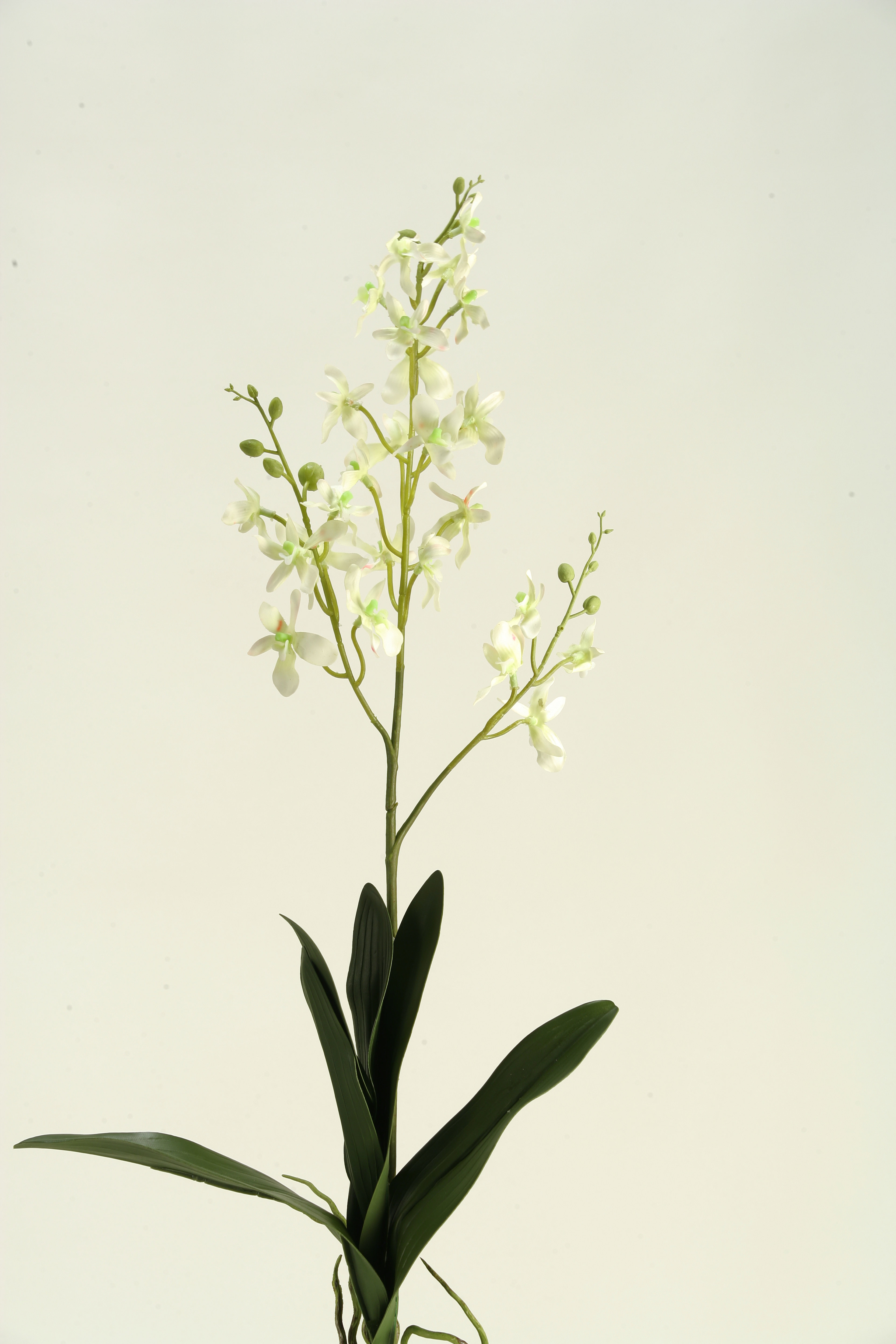 Mercer41 Dendrobium Orchid Stem | Wayfair