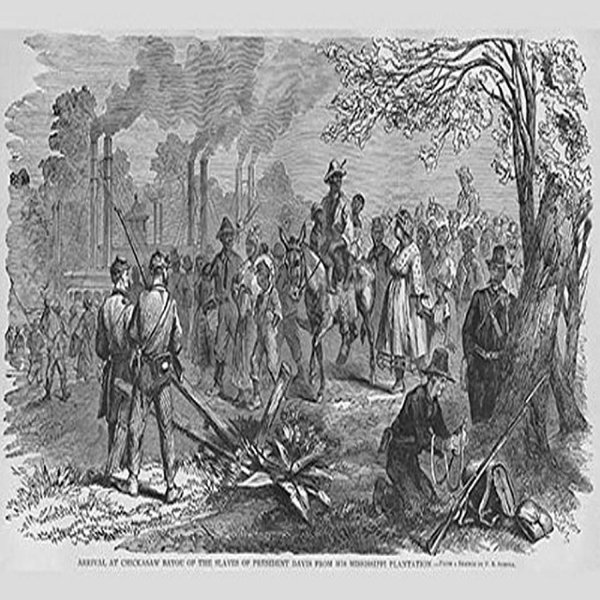 Alcott Hill® Jefferson David' Slaves Arrive At Chickasaw Bayou After ...