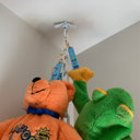 Dreambaby Toy Chain & Reviews | Wayfair