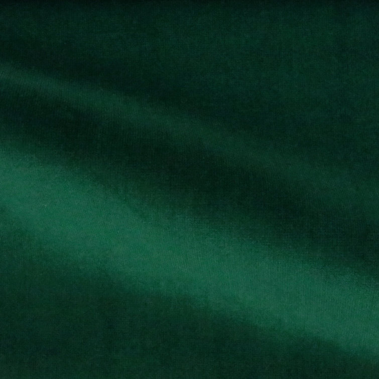 Top Fabric Lavish-Ludwig Plain Velvet Upholstery Fabric | Wayfair