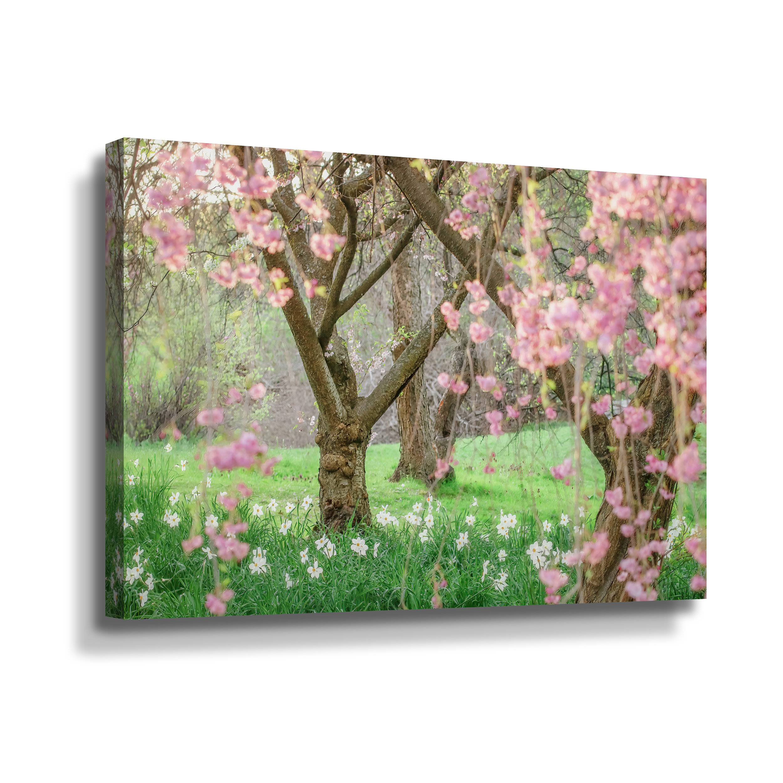 Winston Porter Springtime Fairytale Cherry Tree Springtime Fairytale ...