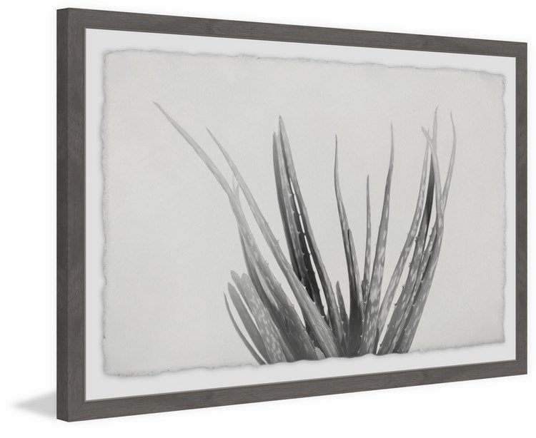 Wrought Studio Thin Stems - Picture Frame Photograph | Wayfair