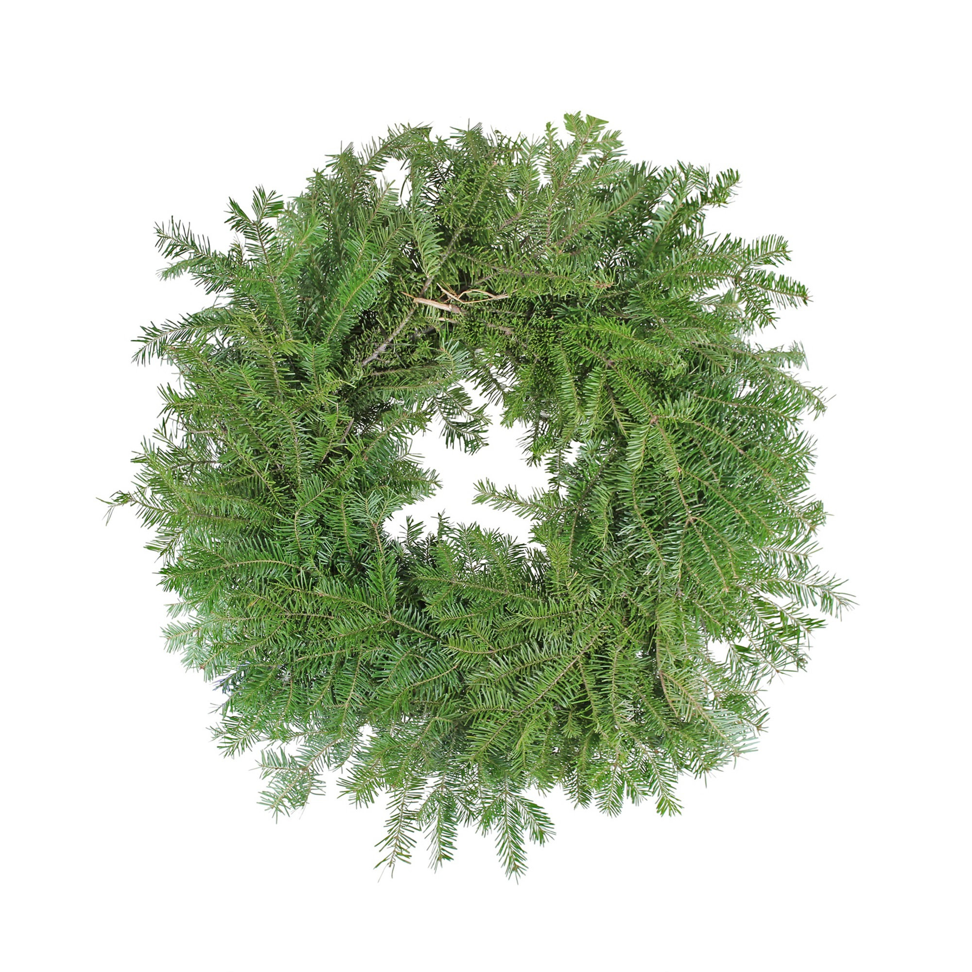 Primrue Handcrafted Fresh Mixed Assortment Greenery 22'' Wreath | Wayfair