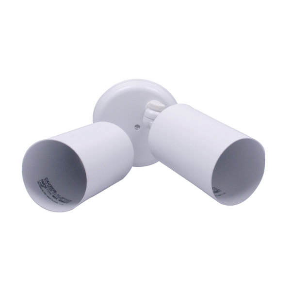 Ivy Bronx Buller 50-Watt Spot Light & Reviews | Wayfair