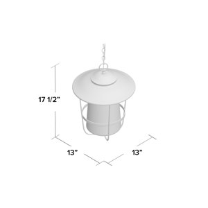 Birch Lane™ Tyler Outdoor Hanging Lantern & Reviews | Wayfair