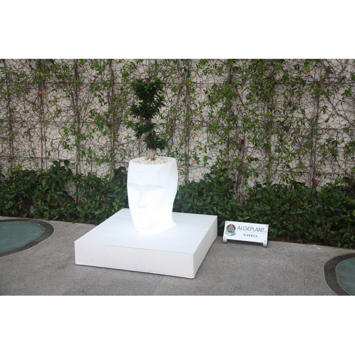 Vondom Adan Planter by Teresa Sapey | Perigold