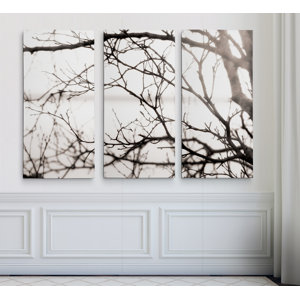 Red Barrel Studio® After The Rain On Canvas 3 Pieces Photograph ...