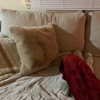 The Pillow Collection Down Pillow Insert & Reviews | Wayfair