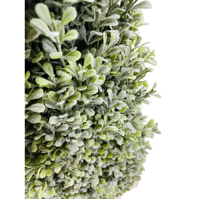 Primrue Faux Boxwood Topiary in Wood Planter | Wayfair