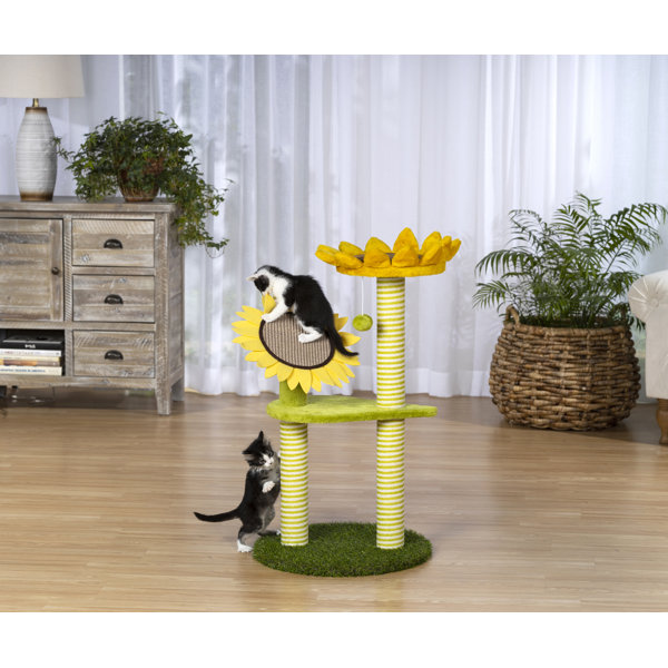 Archie & Oscar™ 36" Chassidy Sunflower Cat Tree | Wayfair