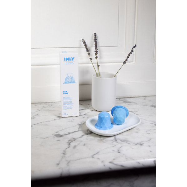 Moen Inly Aromatherapy Shower Capsule | Wayfair
