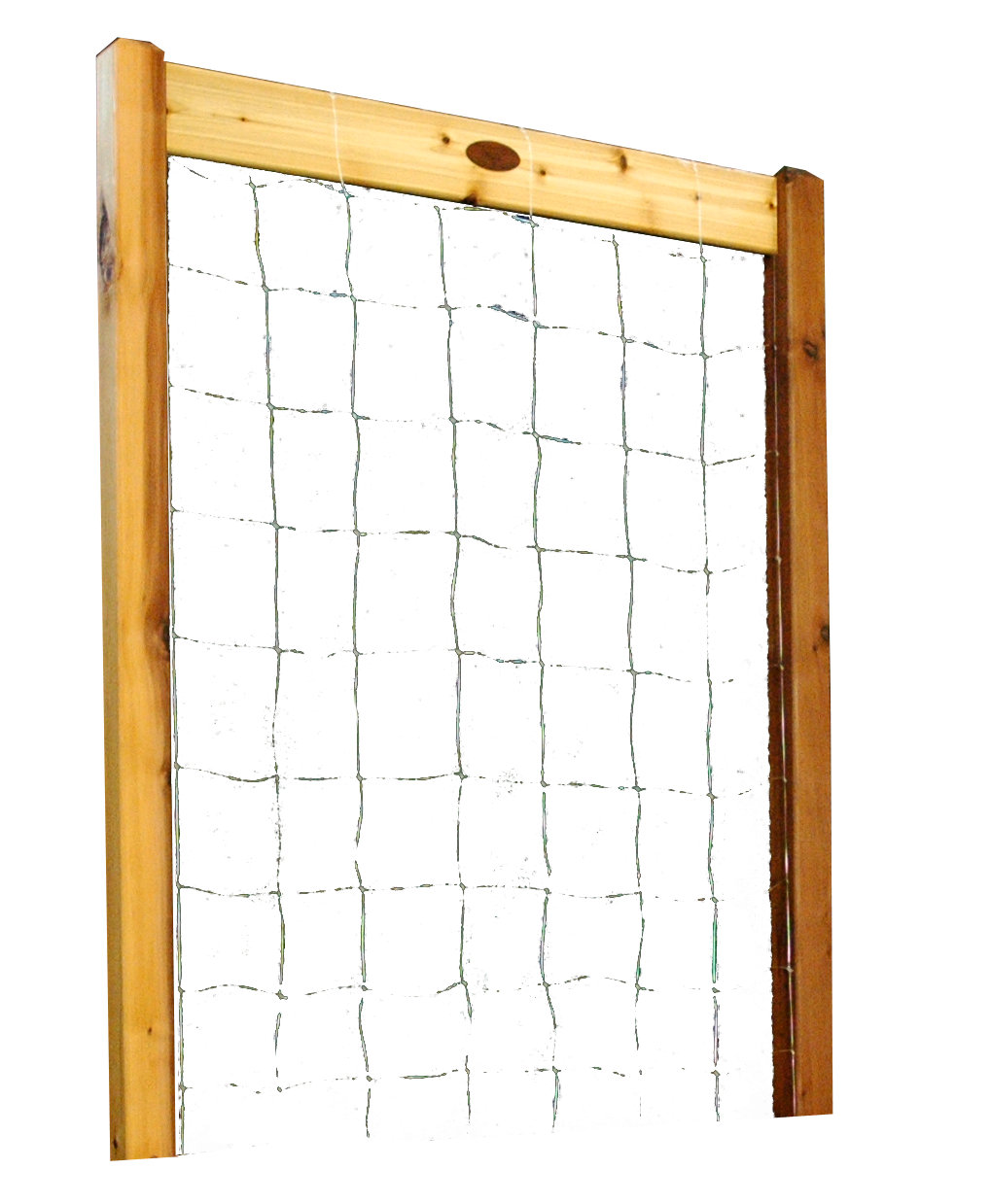 Arlmont & Co. Towerside Rectangular Plant Support | Wayfair