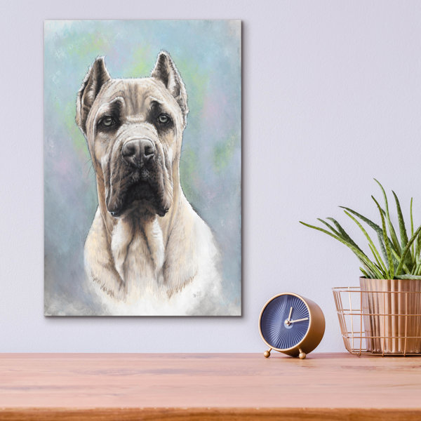Canecorso | Wayfair