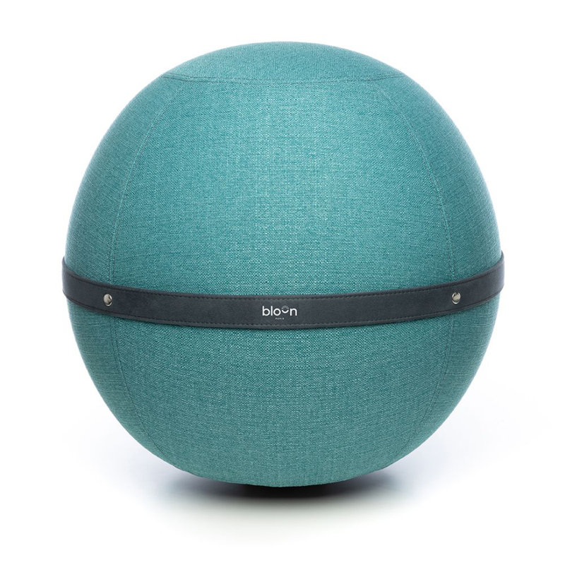 Bloon Paris Ergonomic Ball Seat | Wayfair.co.uk