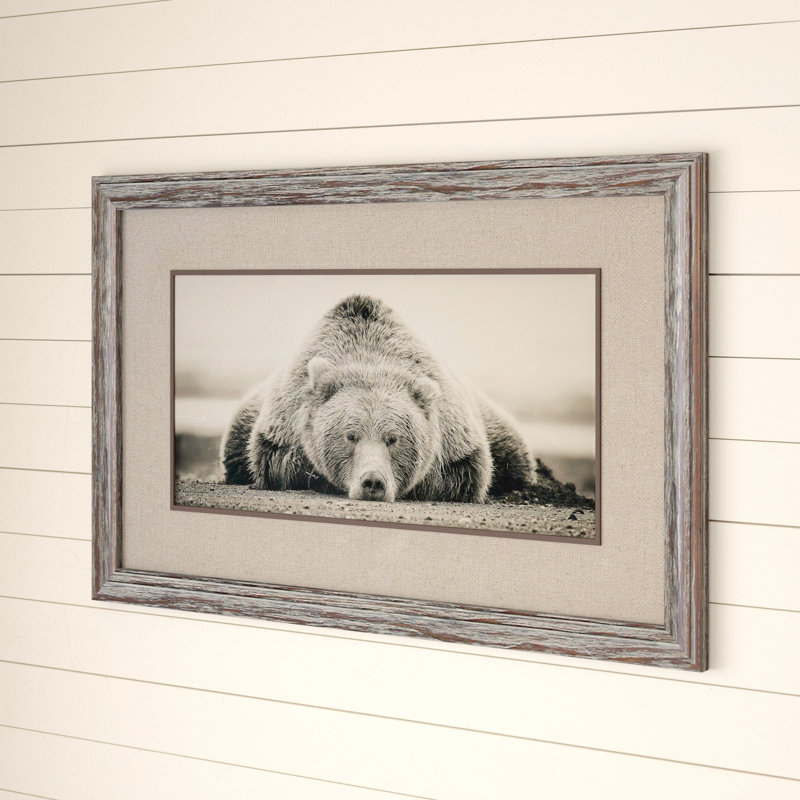 Steelside™ Deep Sleep Bear Framed On Paper by Liz Jardine Photograph ...