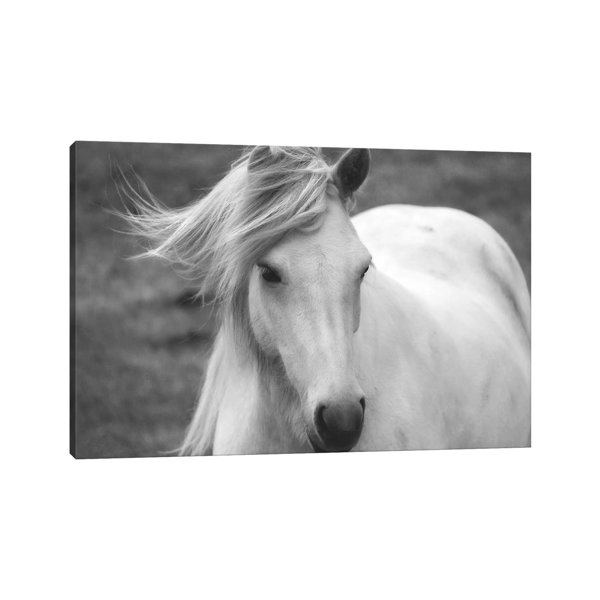 Natur Pur Snow White - Wrapped Canvas Photograph | Wayfair.co.uk