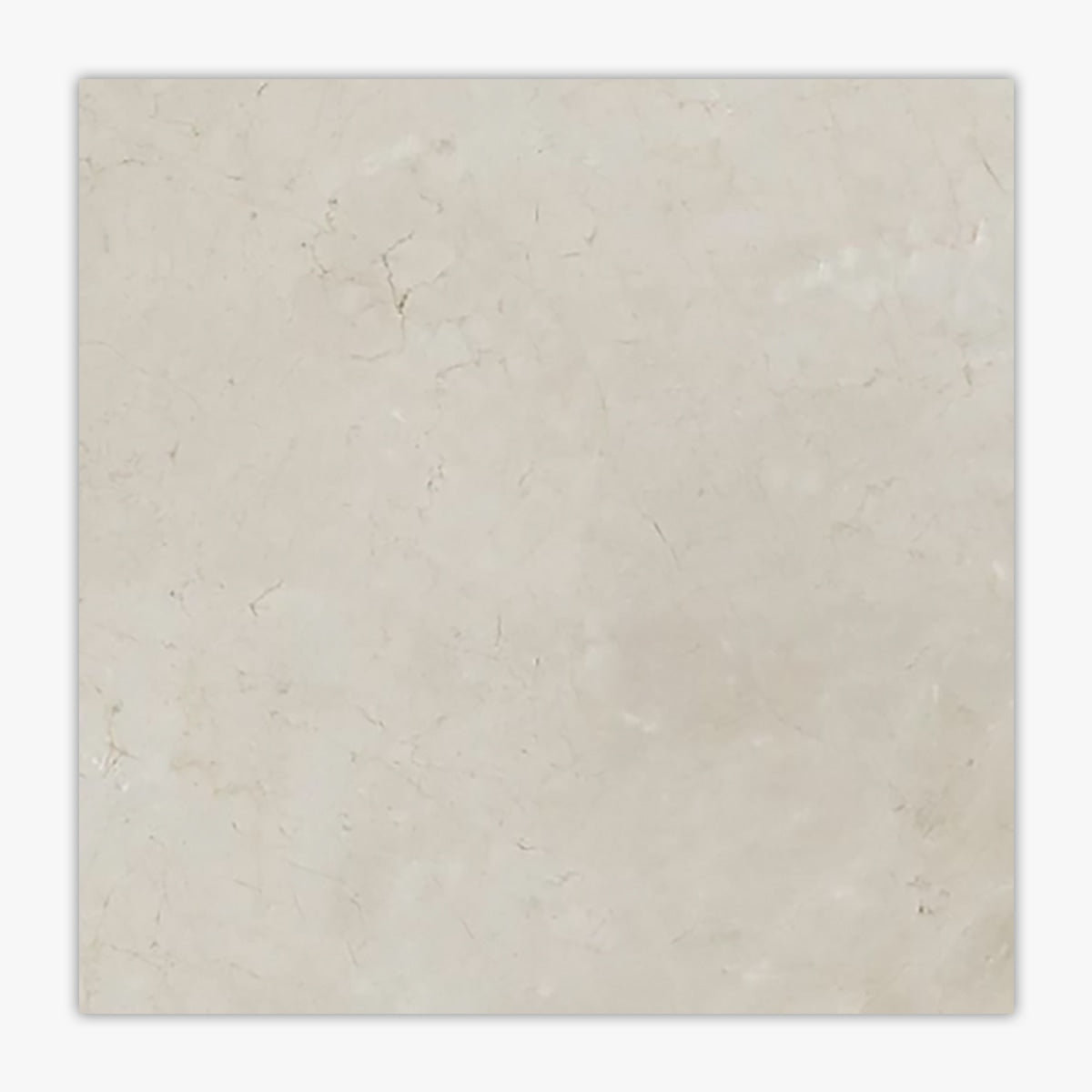 Direct Stone Source 6" x 6" Marble Stone Look Wall & Floor Tile | Wayfair